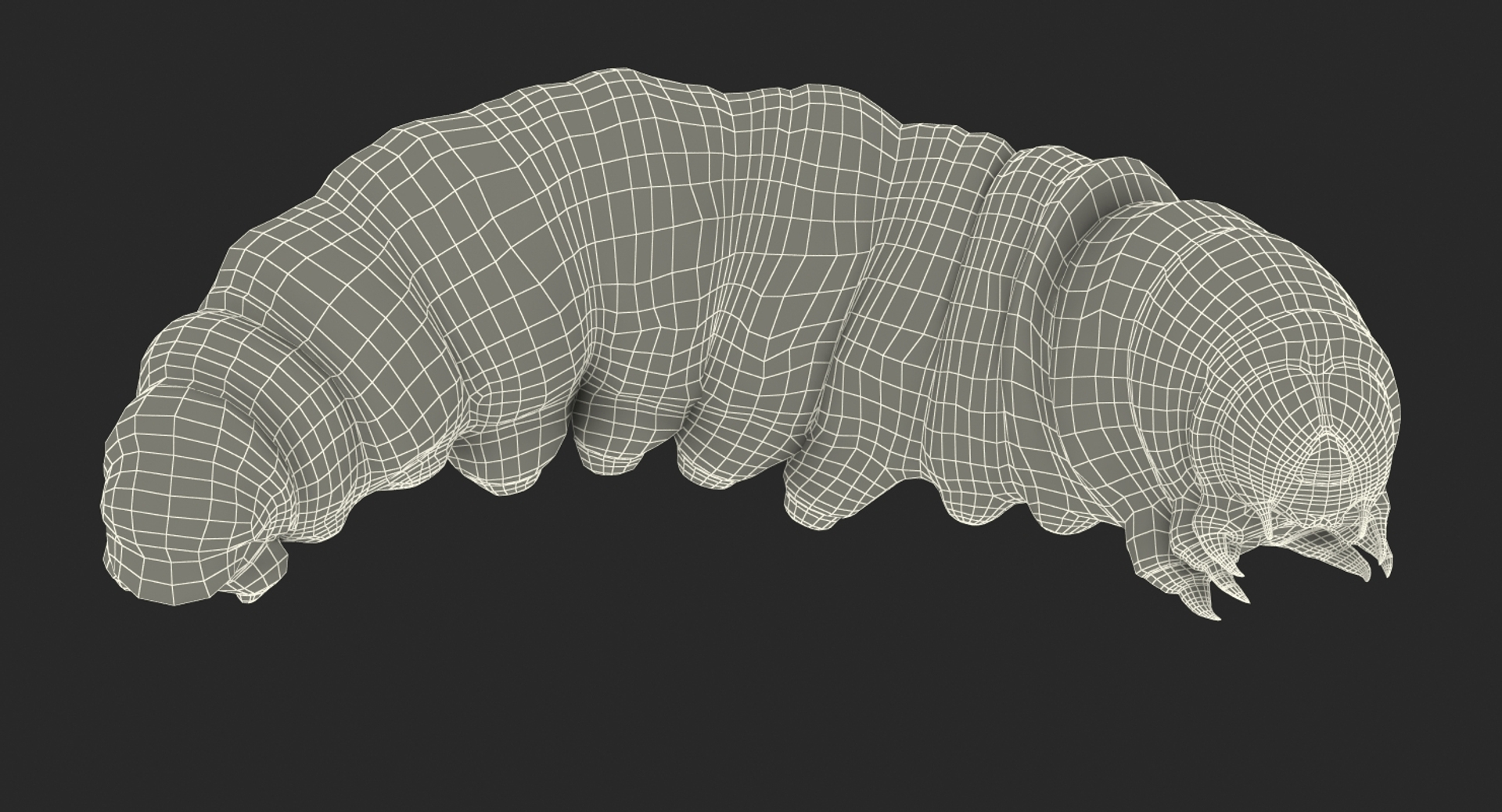3d Model Caterpillar Pose 4 Fur