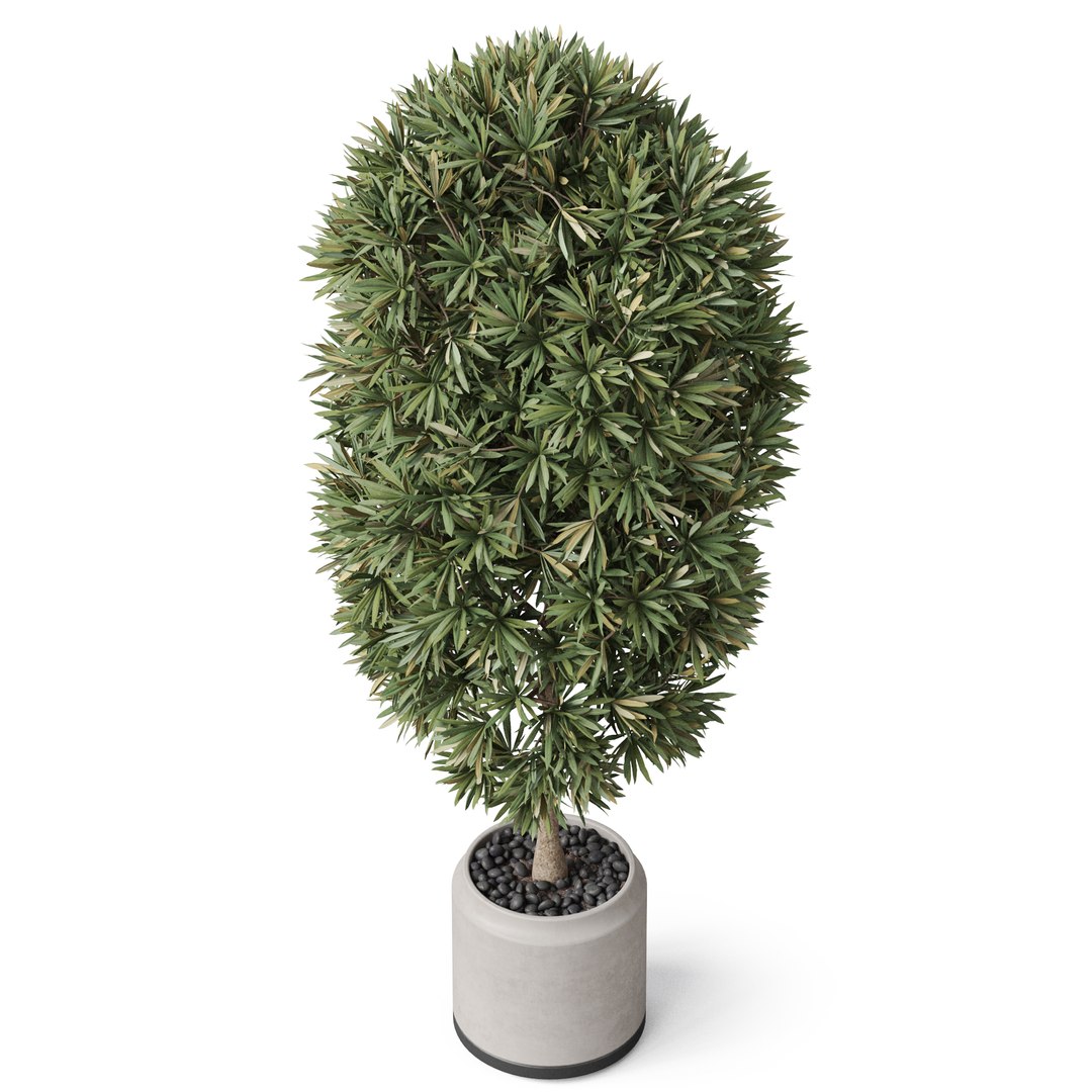 3D Plants Collection 841 - TurboSquid 1970695