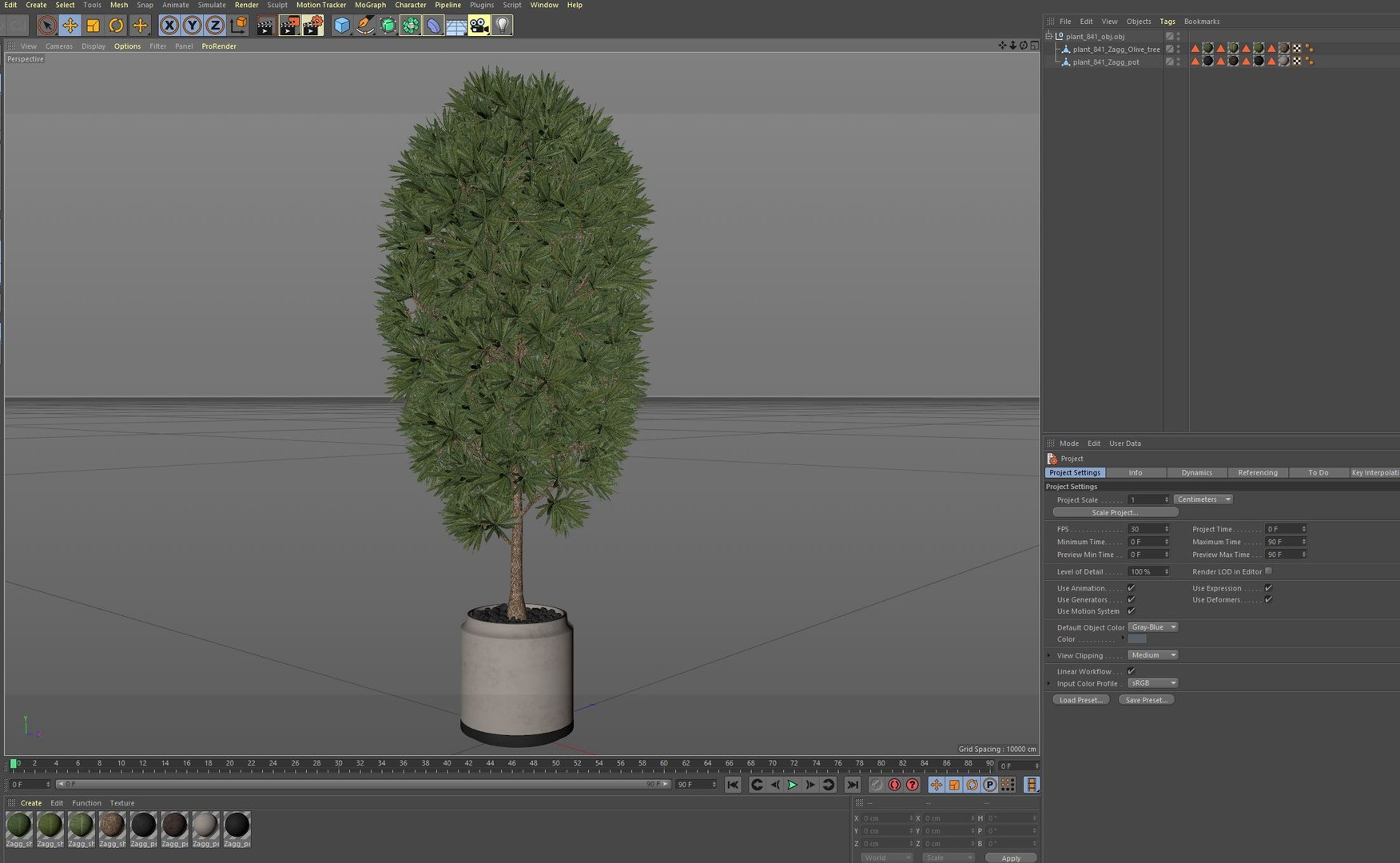 3D Plants Collection 841 - TurboSquid 1970695
