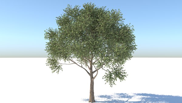 Realistic apple tree 3D - TurboSquid 1674430