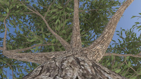 Realistic apple tree 3D - TurboSquid 1674430