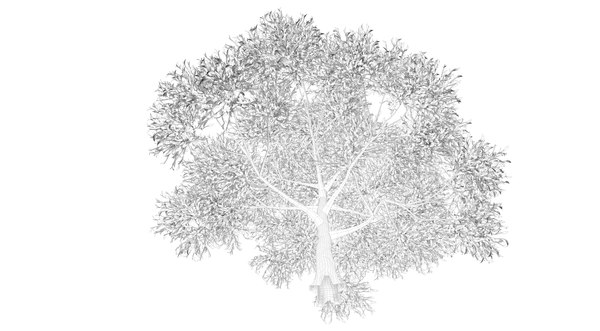 Realistic apple tree 3D - TurboSquid 1674430