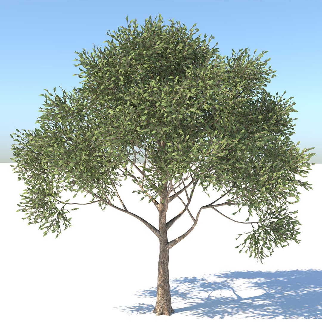 Realistic Apple Tree 3D - TurboSquid 1674430