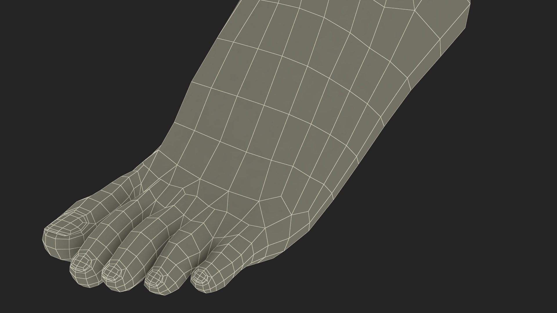 Orthopedic Shoe Insole With Foot 3D Model - TurboSquid 2320906
