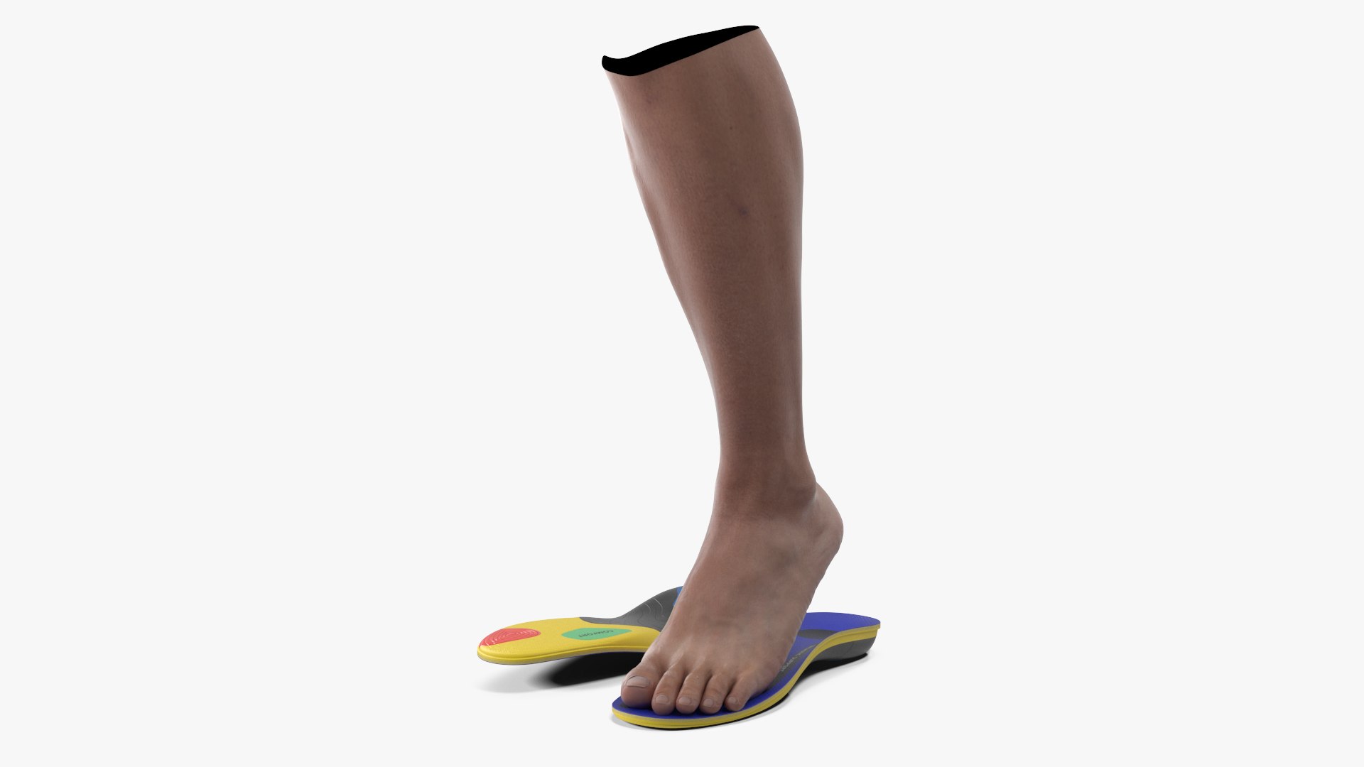 Orthopedic Shoe Insole With Foot 3D Model - TurboSquid 2320906