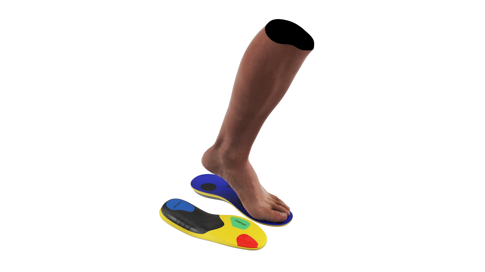 Orthopedic Shoe Insole With Foot 3D Model - TurboSquid 2320906