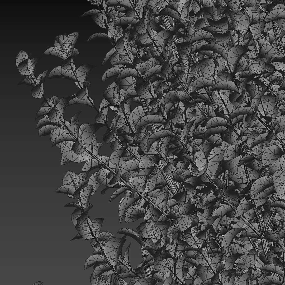 3D Set of Crimson Pointe Plum or Prunus x Cerasifera Tree - 2 Trees ...