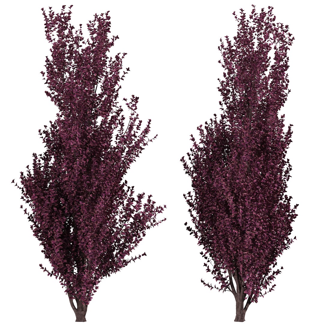 3D Set of Crimson Pointe Plum or Prunus x Cerasifera Tree - 2 Trees ...