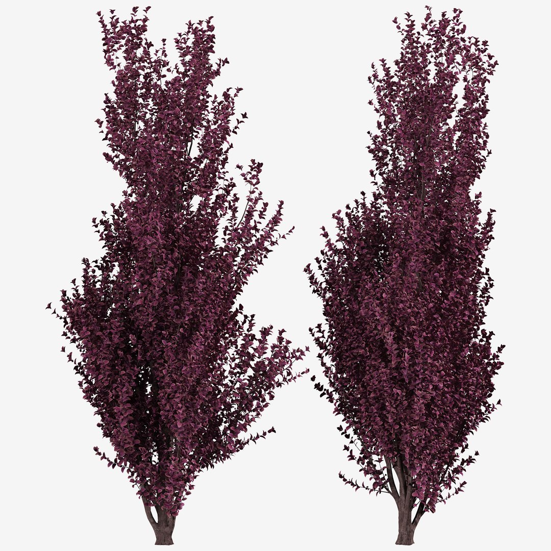 3D Set of Crimson Pointe Plum or Prunus x Cerasifera Tree - 2 Trees ...