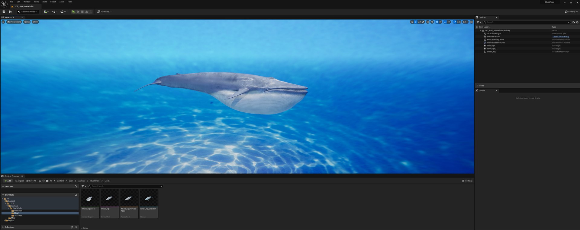 3D Blue Whale Rig UNREAL Project Plus Maya Base Rig Model - TurboSquid ...