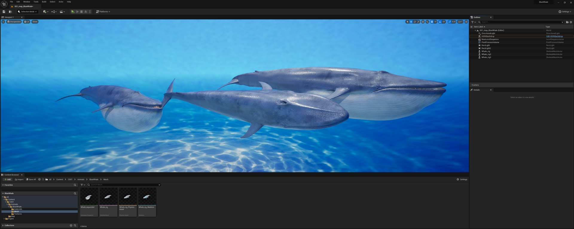 3D Blue Whale Rig UNREAL Project Plus Maya Base Rig Model - TurboSquid ...