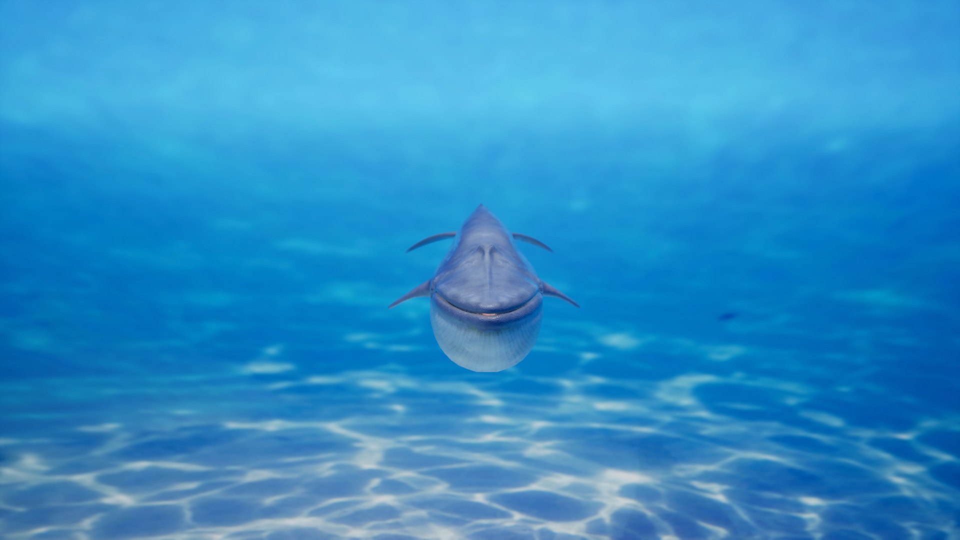 3D Blue Whale Rig UNREAL Project Plus Maya Base Rig Model - TurboSquid ...