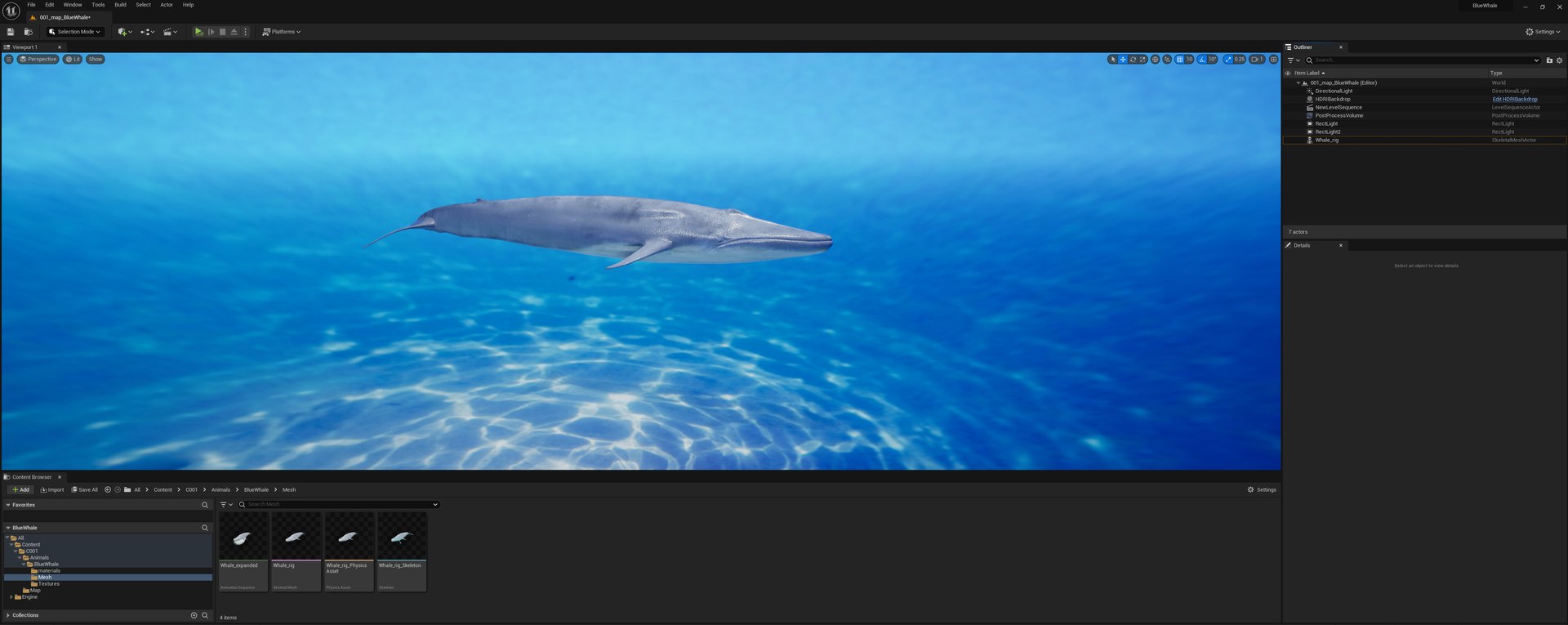 3D Blue Whale Rig UNREAL Project Plus Maya Base Rig Model - TurboSquid ...