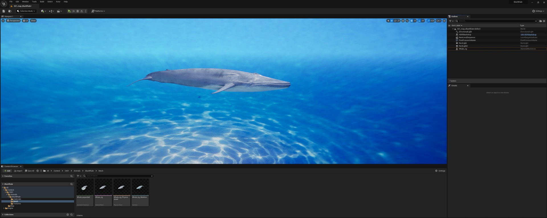 3D Blue Whale Rig UNREAL Project Plus Maya Base Rig Model - TurboSquid ...
