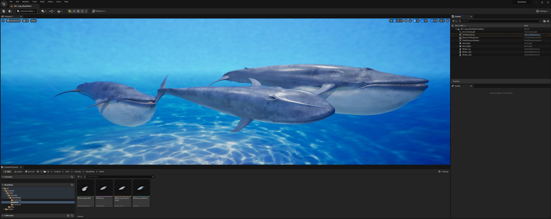 3D Blue Whale Rig UNREAL Project Plus Maya Base Rig Model - TurboSquid ...