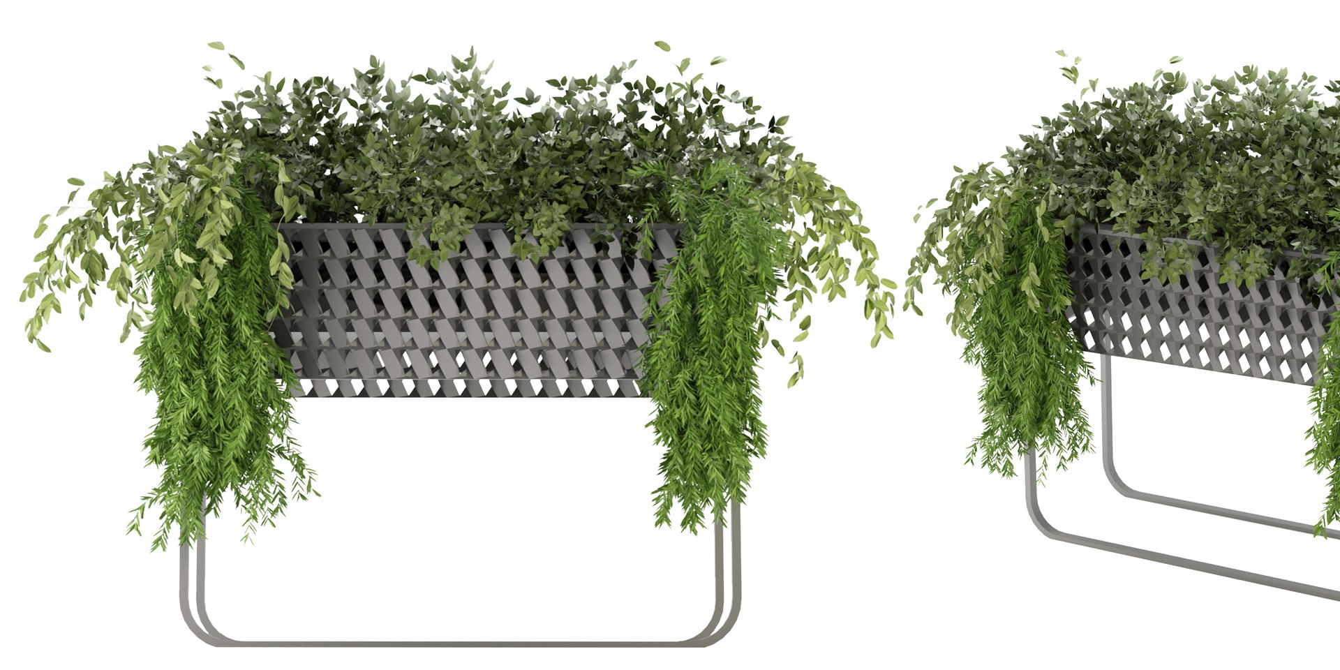 Collection Plant Vol 133 - Blender Model 3D Model - TurboSquid 2085227