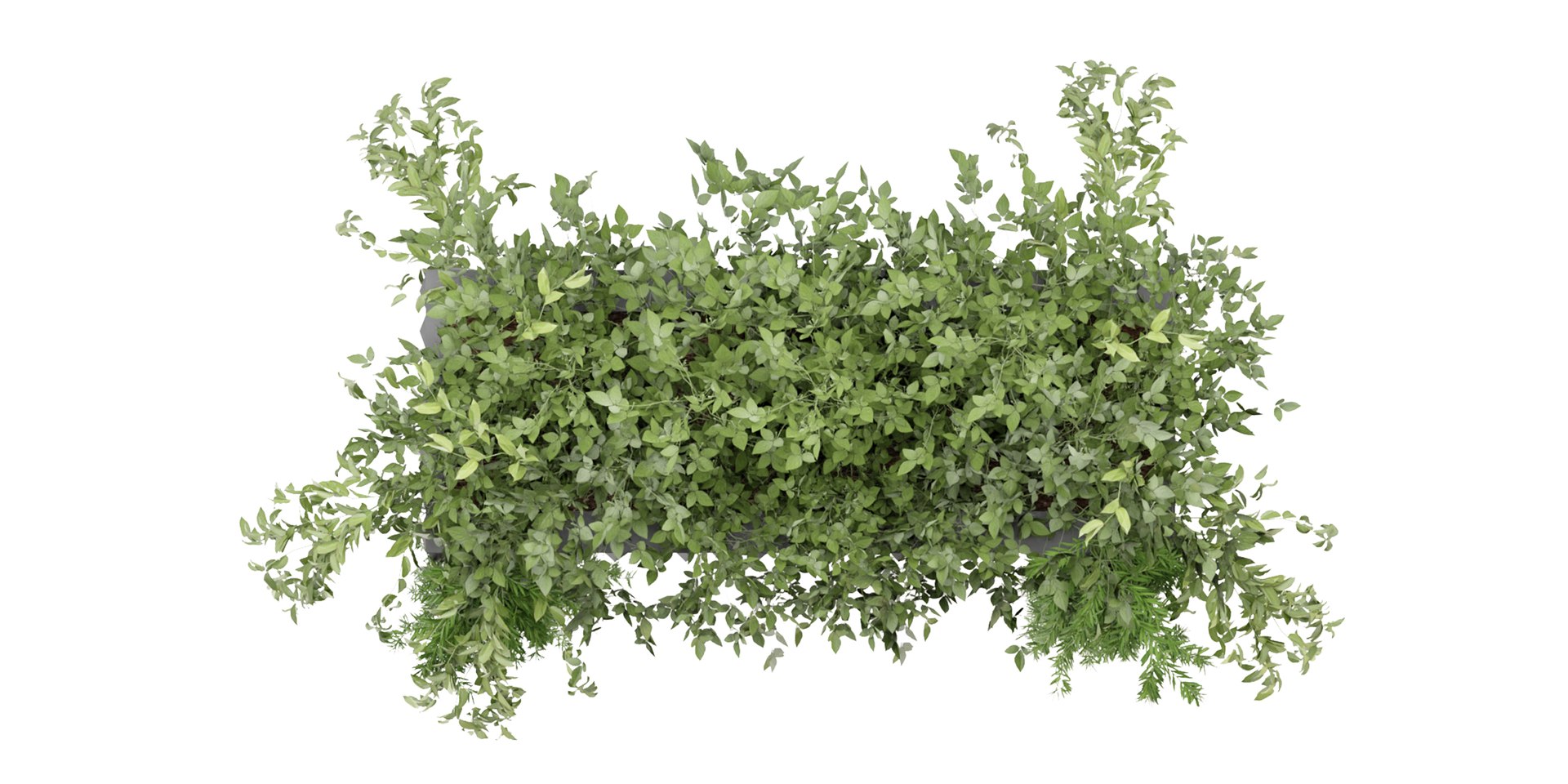 Collection Plant Vol 133 - Blender Model 3D Model - TurboSquid 2085227