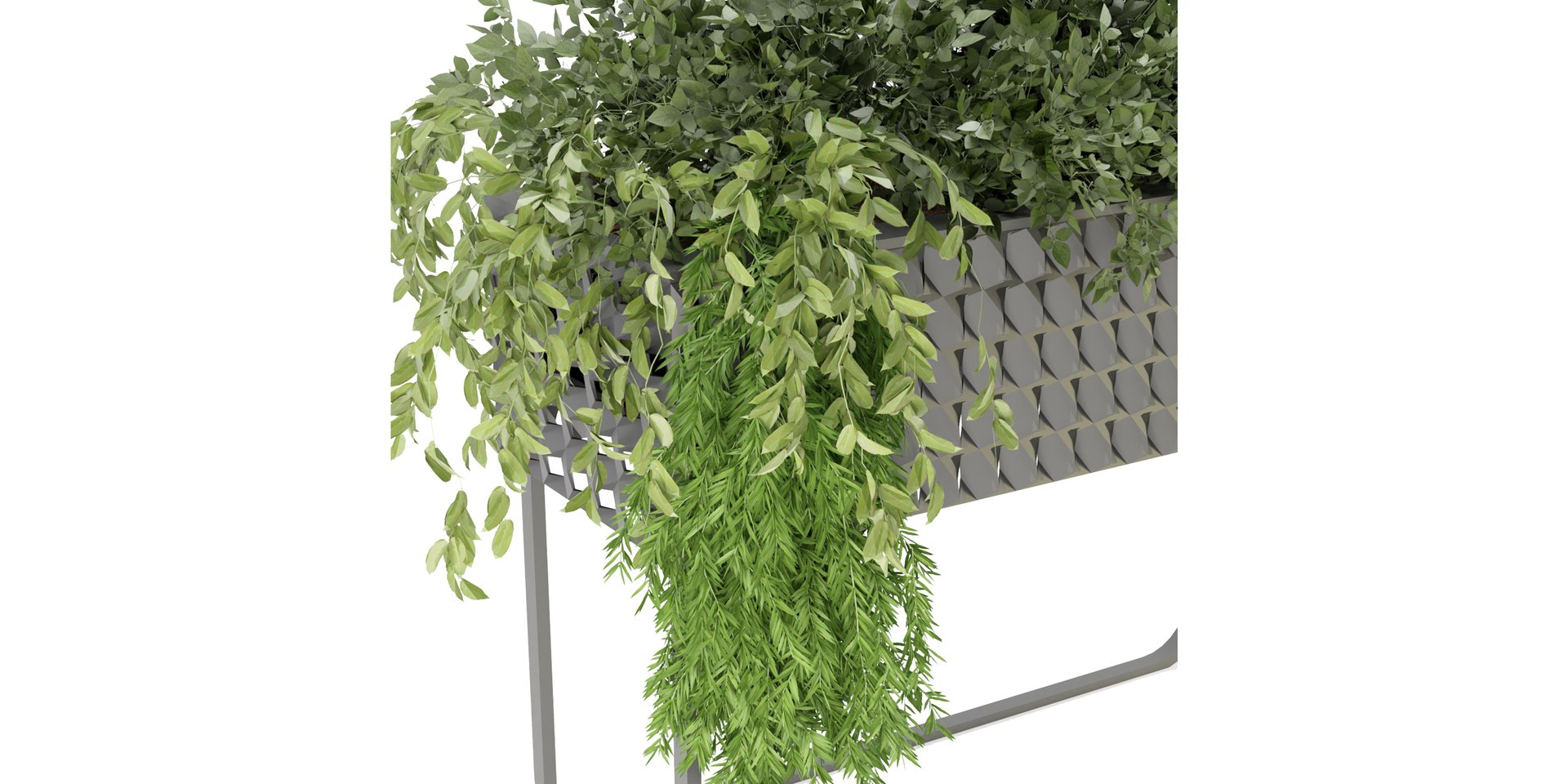 Collection Plant Vol 133 - Blender Model 3D Model - TurboSquid 2085227