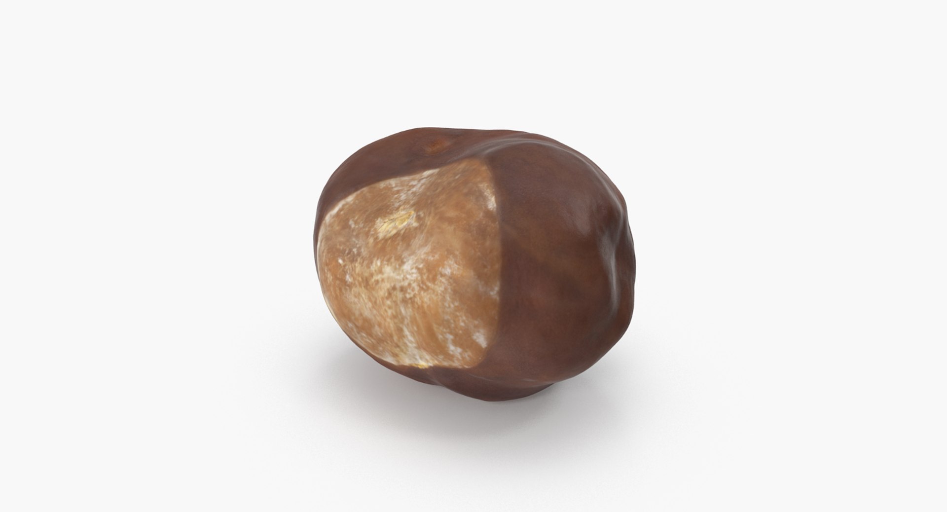 3D Chestnut 3 - TurboSquid 1209367