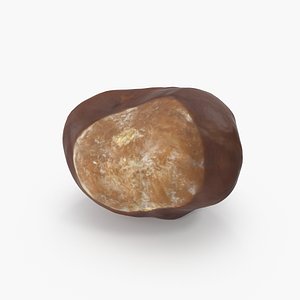 Chestnut 3D Models for Download | TurboSquid