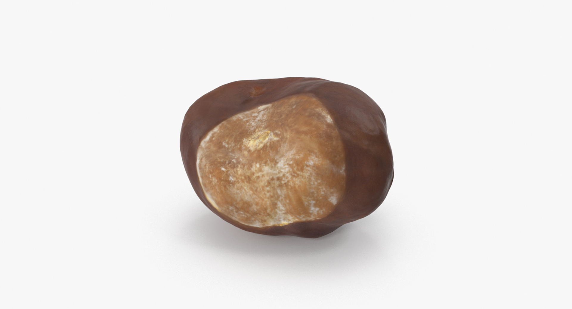 3D Chestnut 3 - TurboSquid 1209367