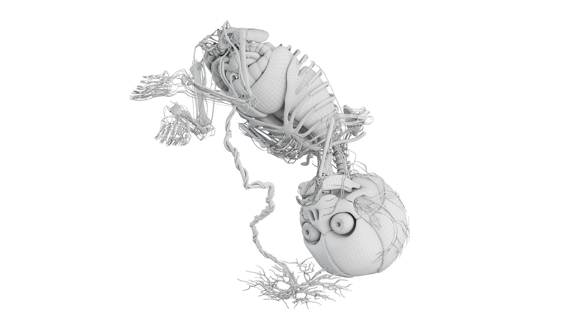 3D Fetus Anatomy Week 27 Static model - TurboSquid 1836213