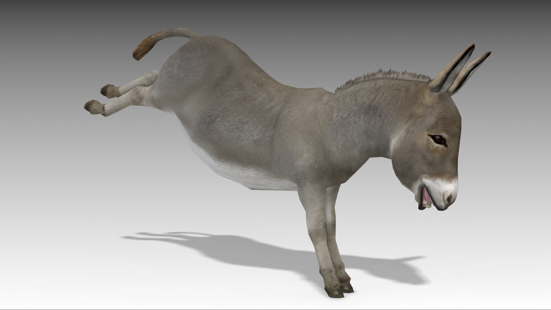 3D Model Donkey - TurboSquid 1811040