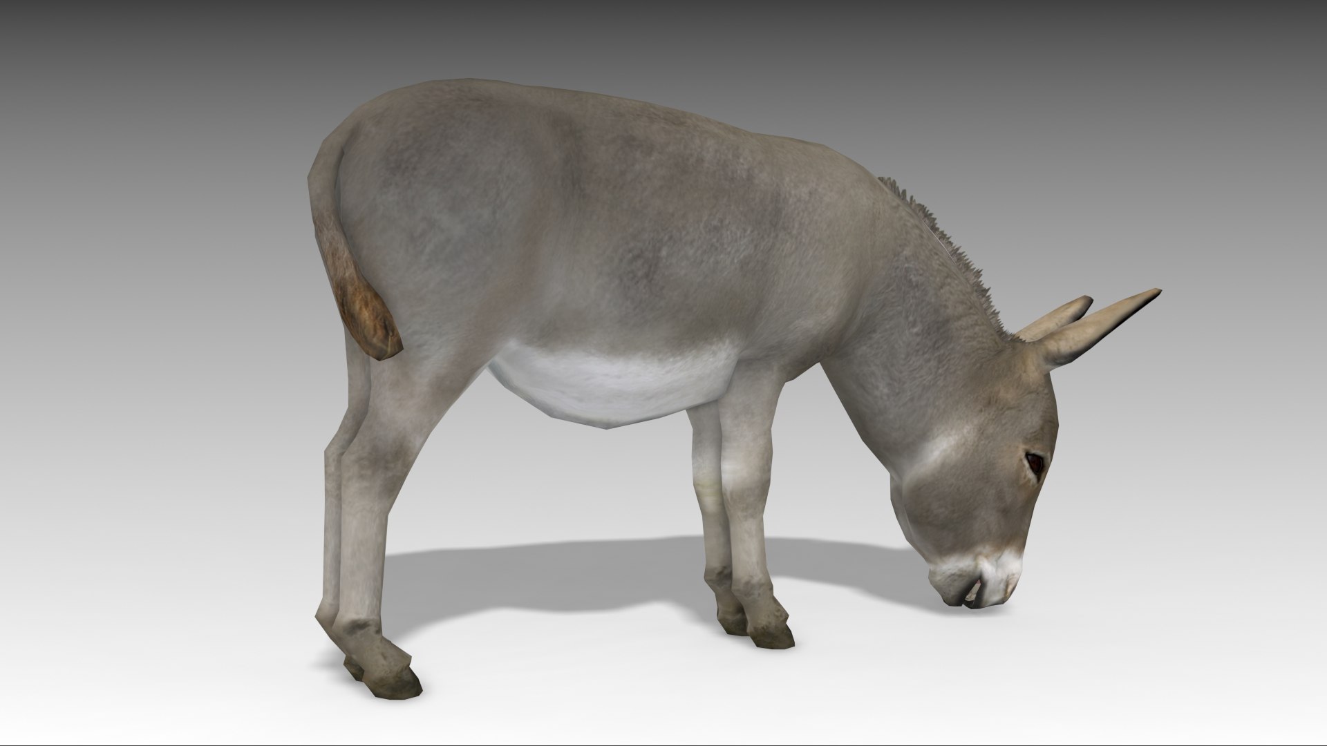 3D Model Donkey - TurboSquid 1811040