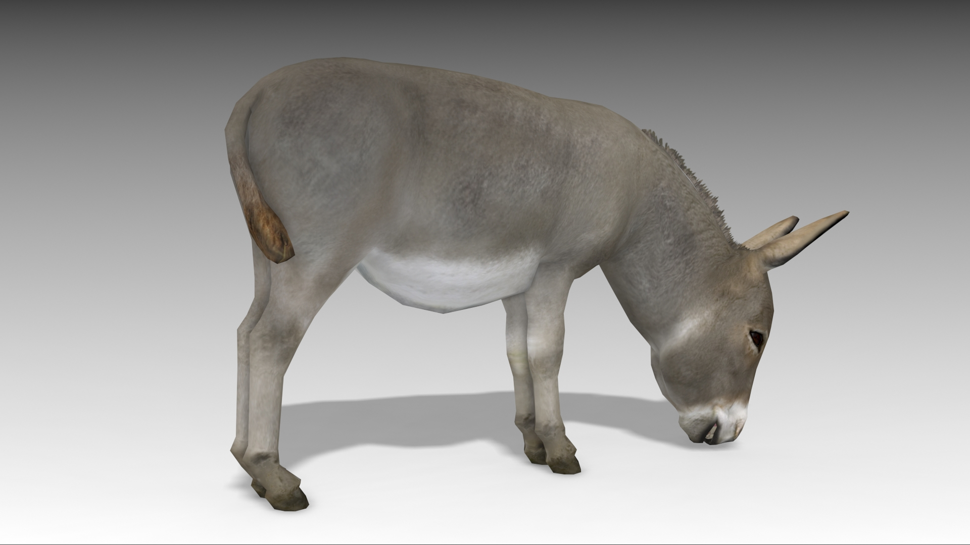 3D model Donkey - TurboSquid 1811040