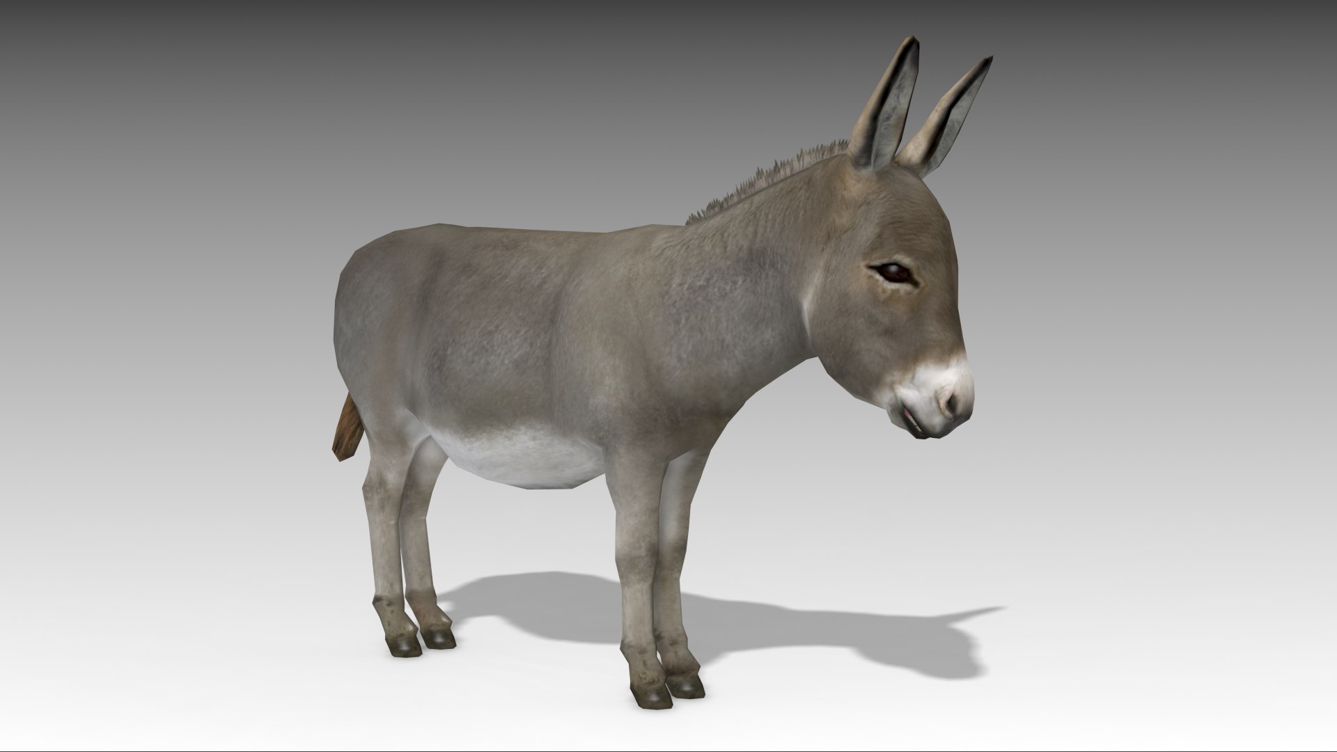 3D Model Donkey - TurboSquid 1811040