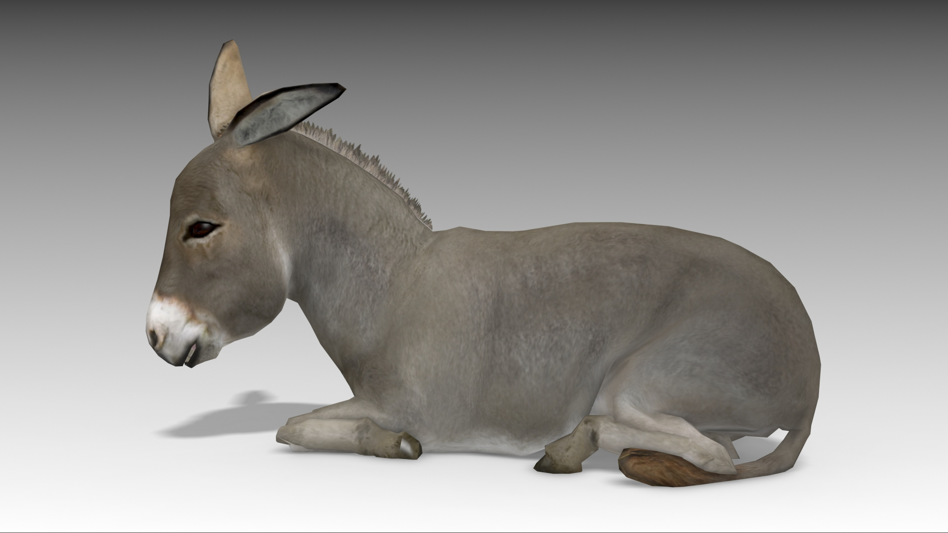 3D model Donkey - TurboSquid 1811040