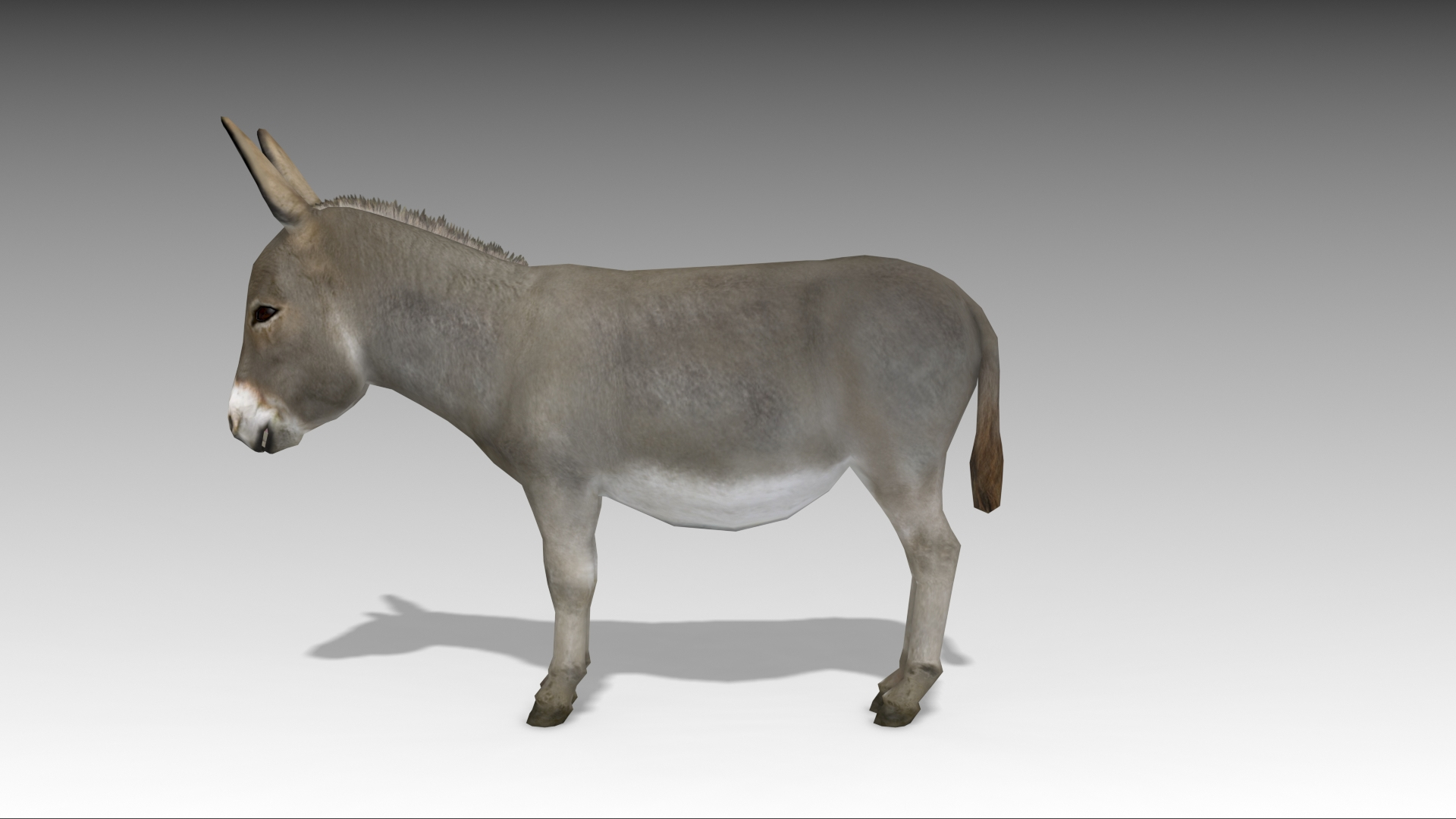 3D Model Donkey - TurboSquid 1811040