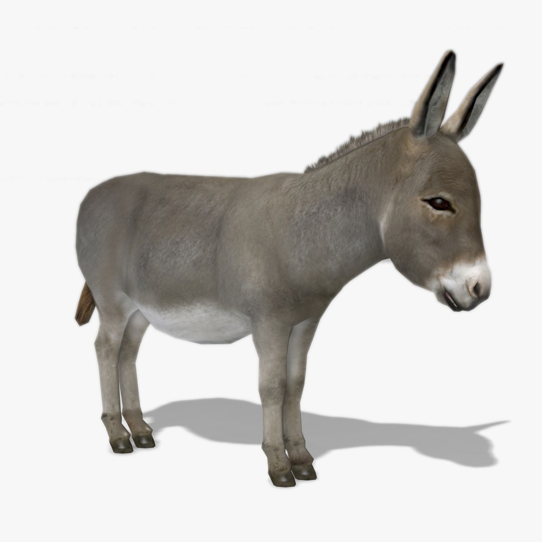 3D Model Donkey - TurboSquid 1811040