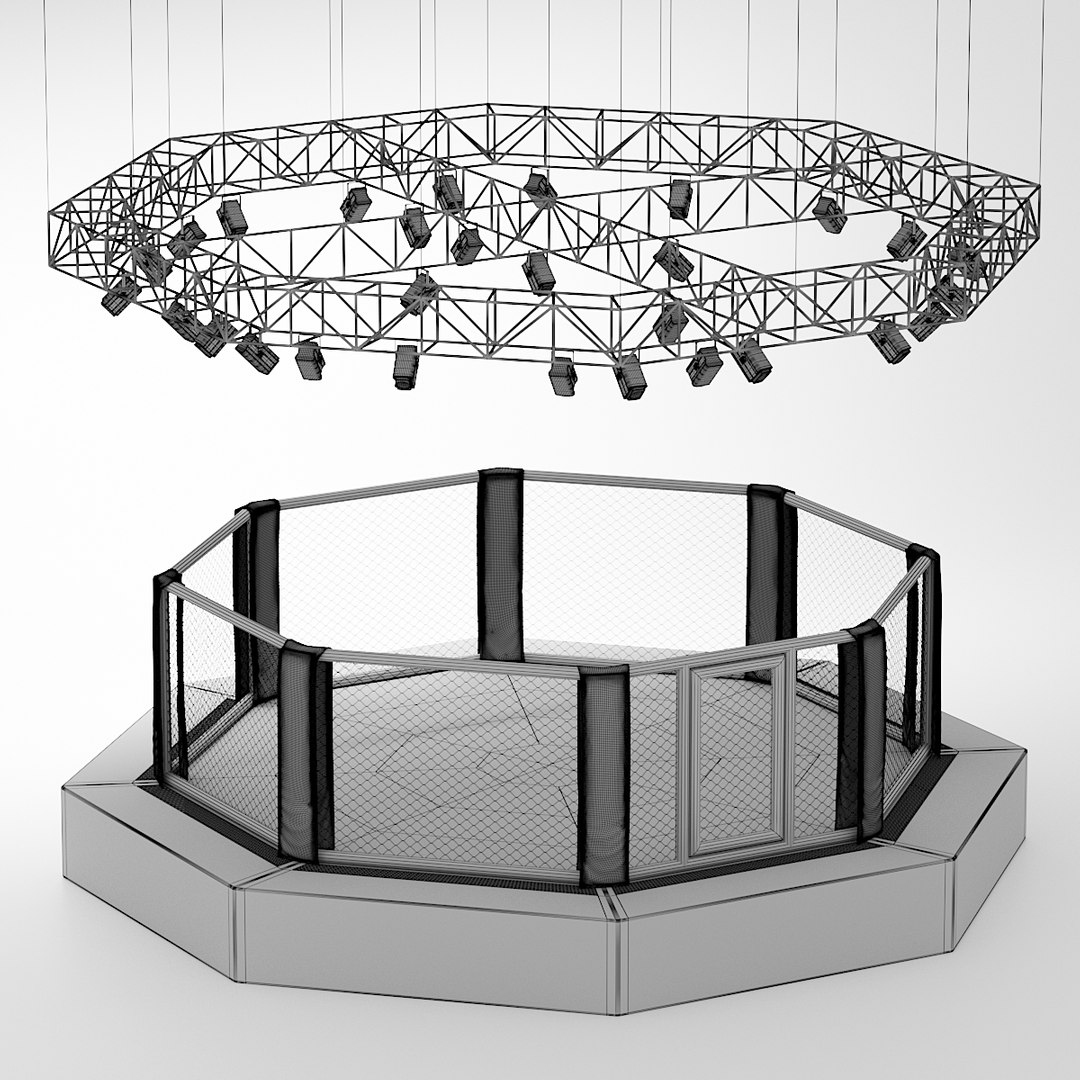 Arena octagon mma cage 3D model - TurboSquid 1707366
