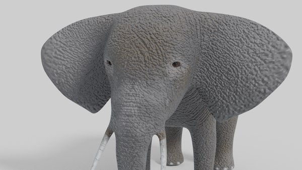 Animation elephant 3D model - TurboSquid 1691235