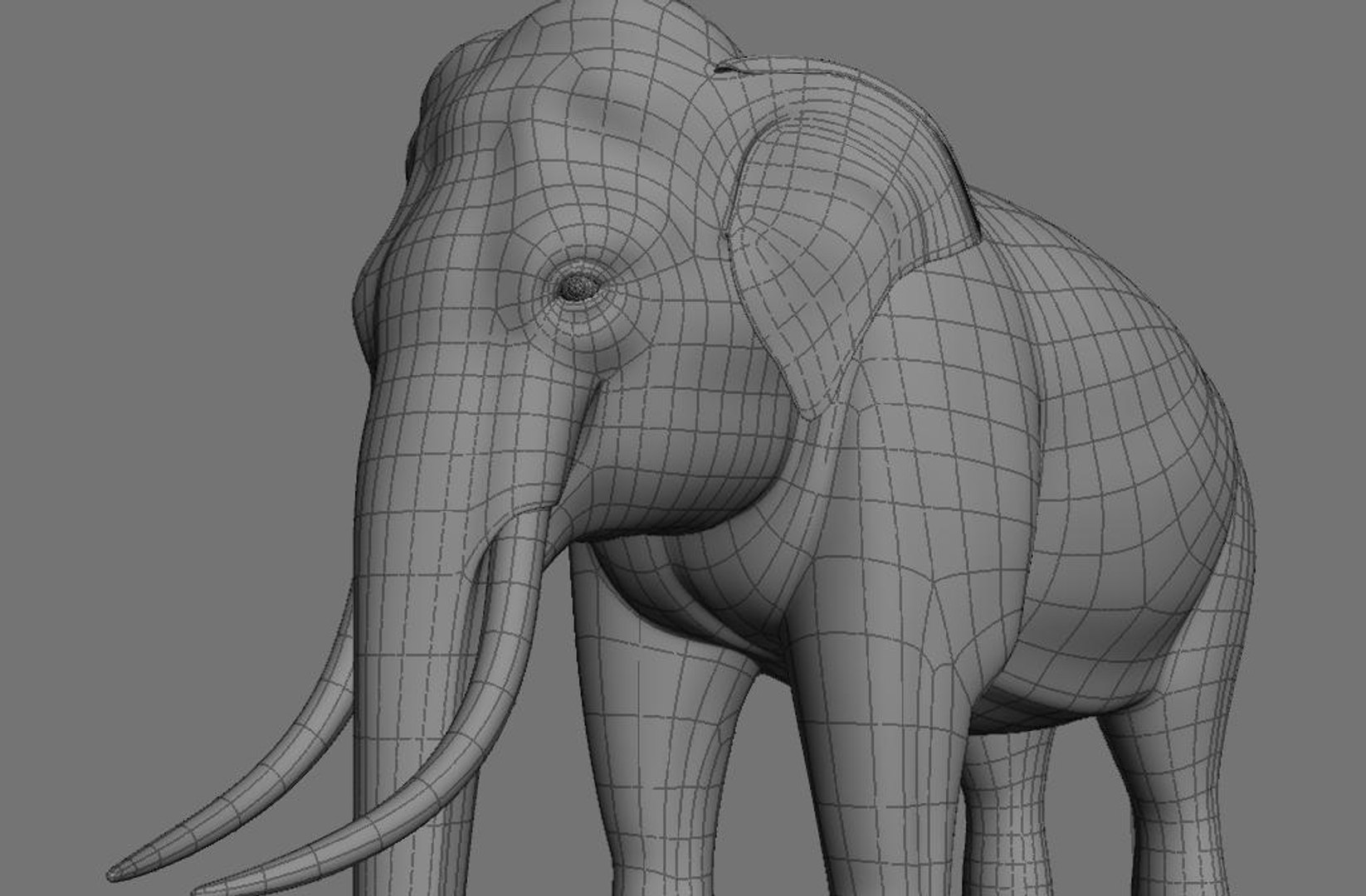 3d Elephant-dg Elephant Model