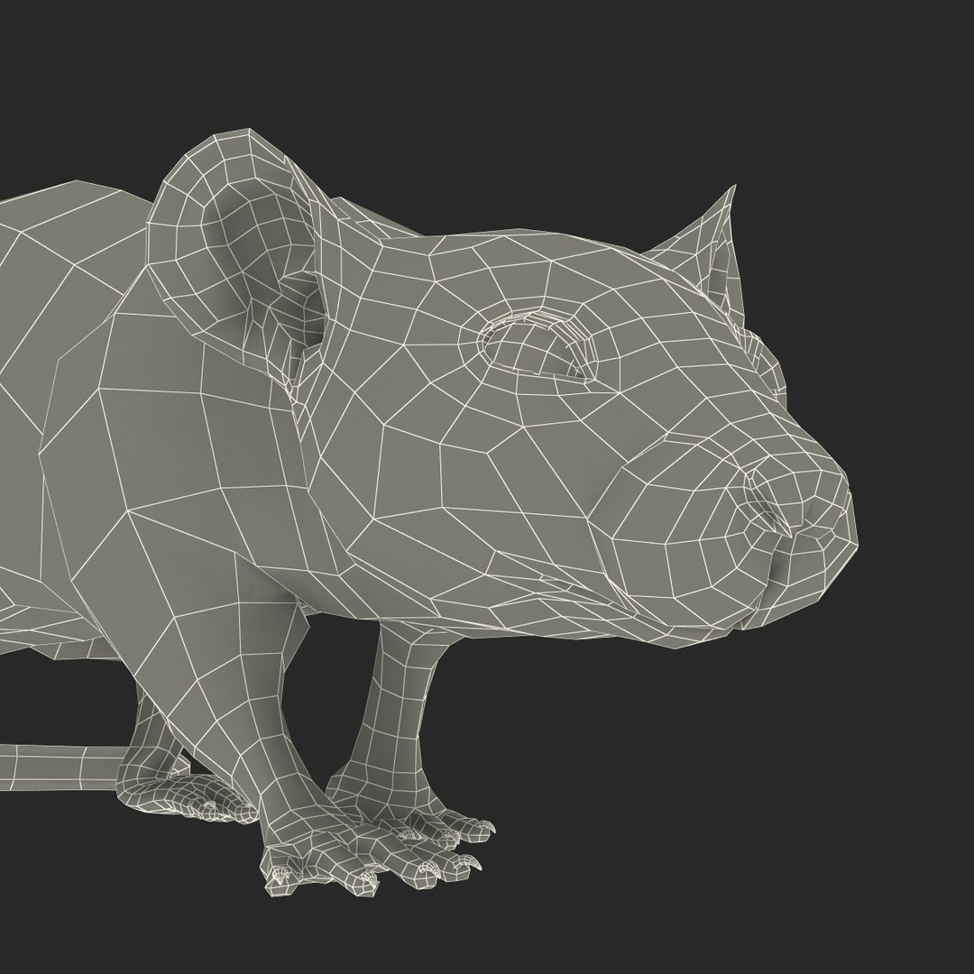 3d model rat 3 pose