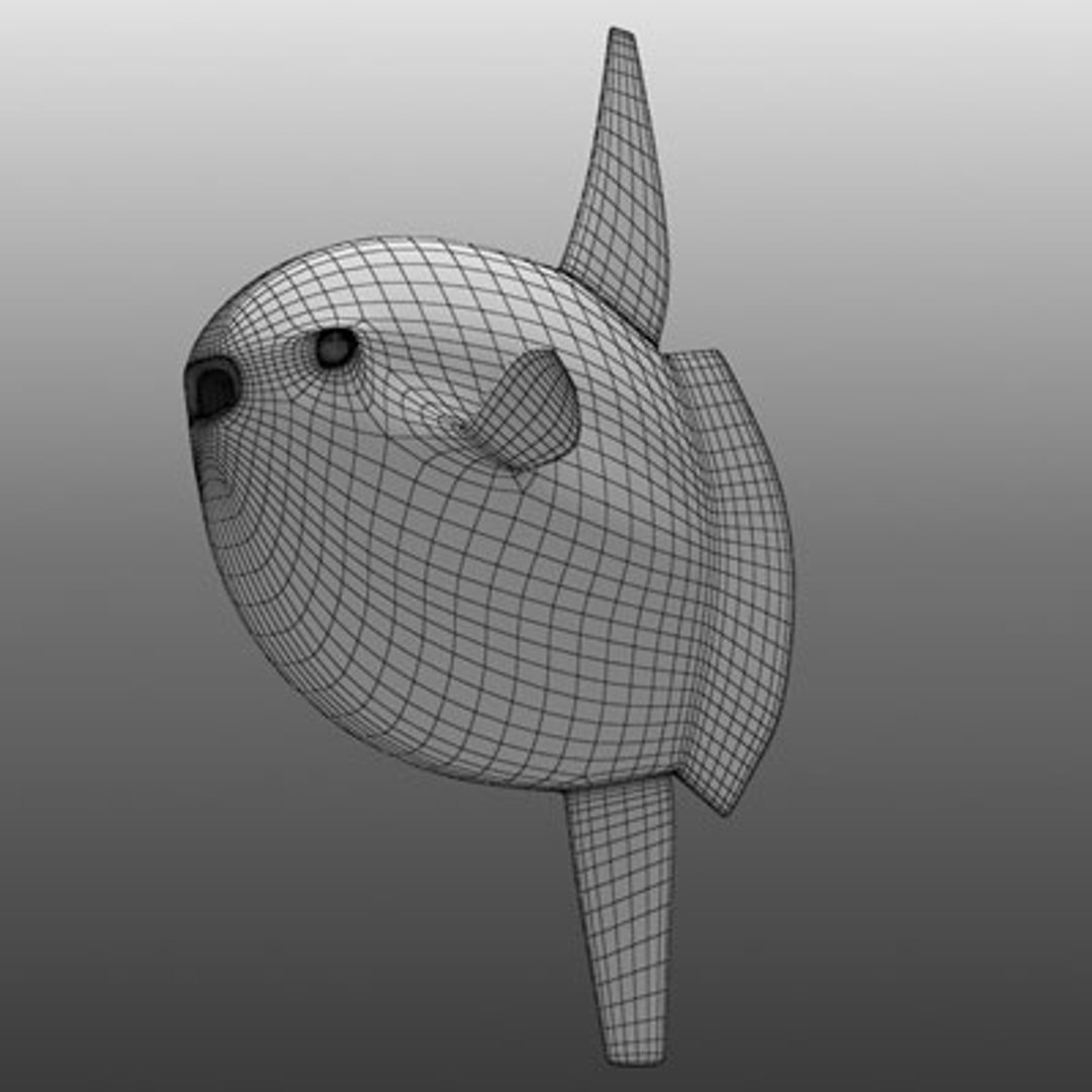 Sunfish Fish Ocean 3d Model