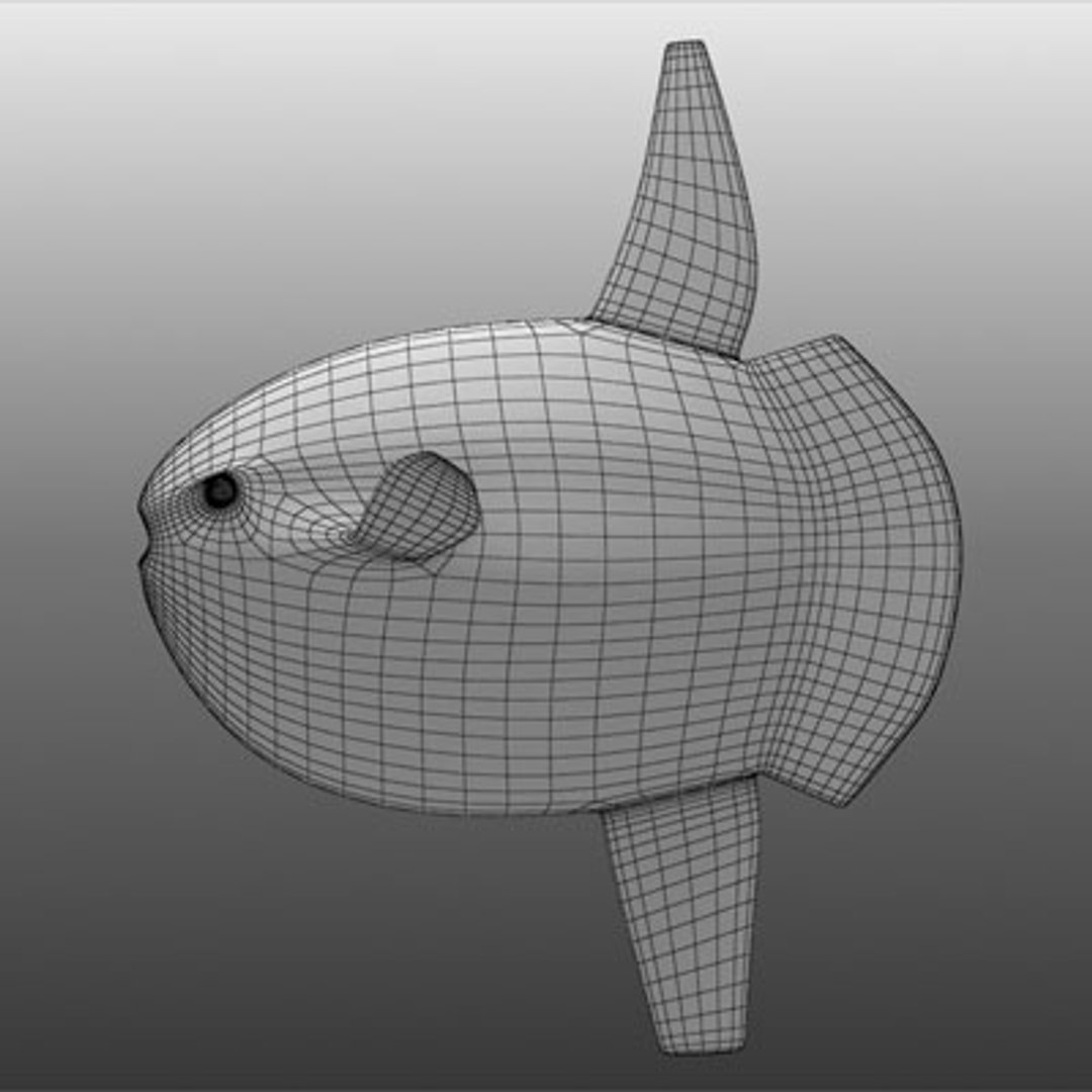 Sunfish Fish Ocean 3d Model