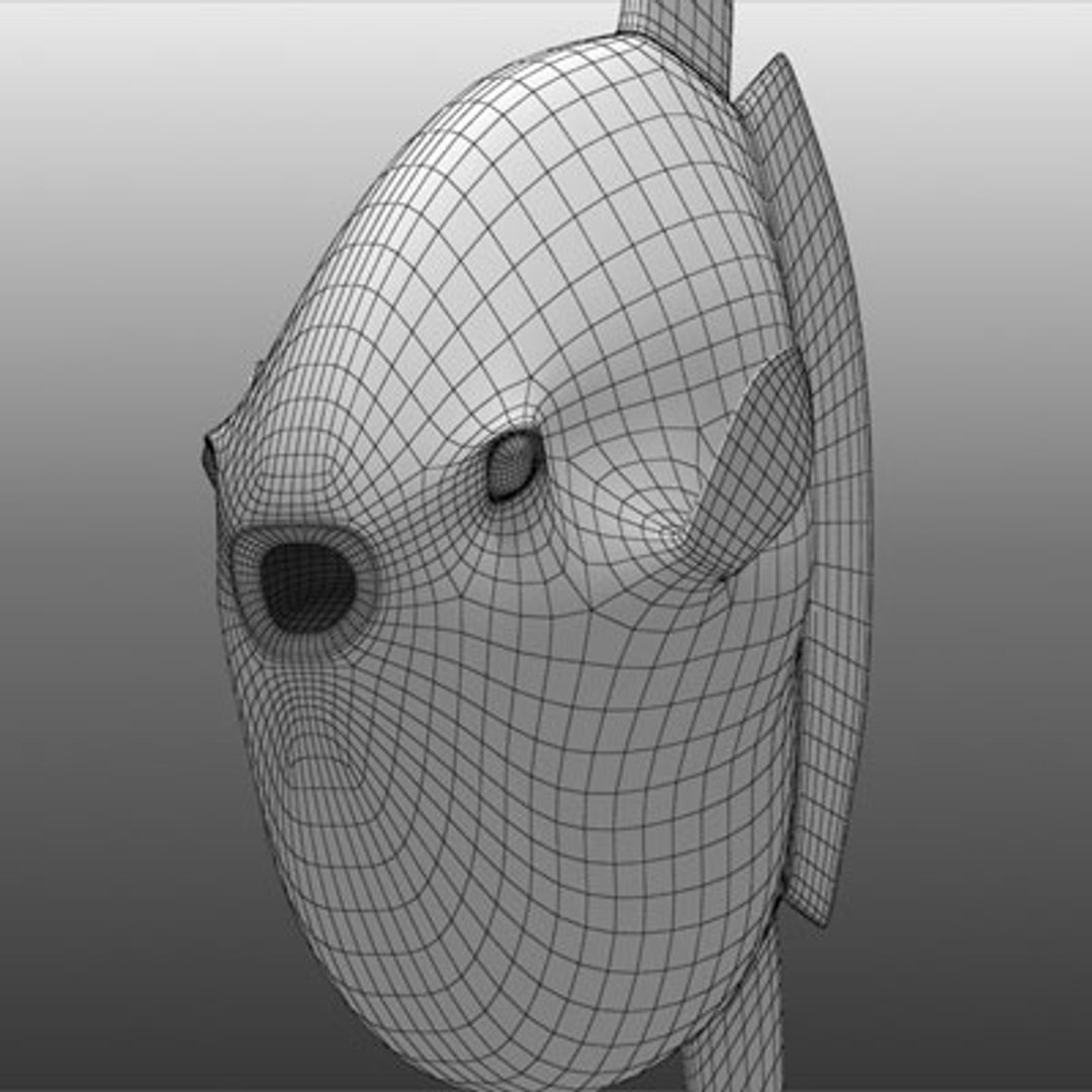 Sunfish Fish Ocean 3d Model