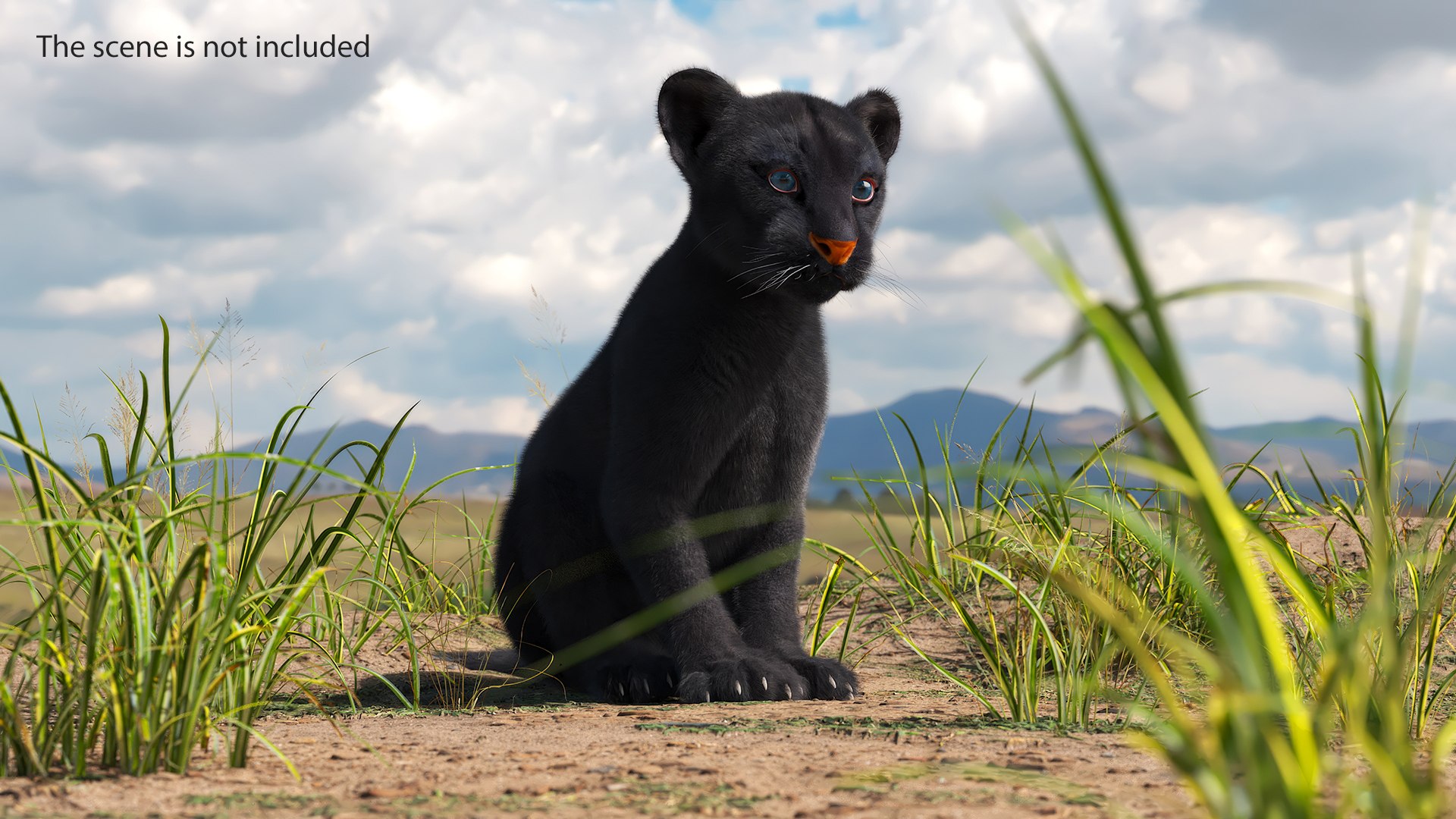 cub panther