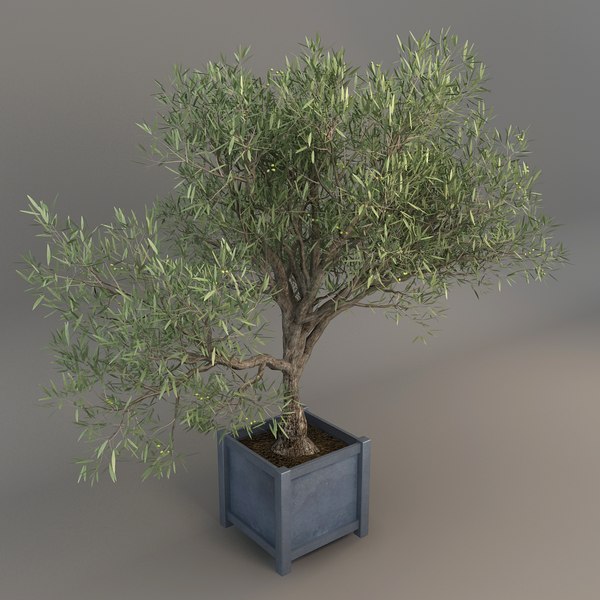 olive tree 3ds