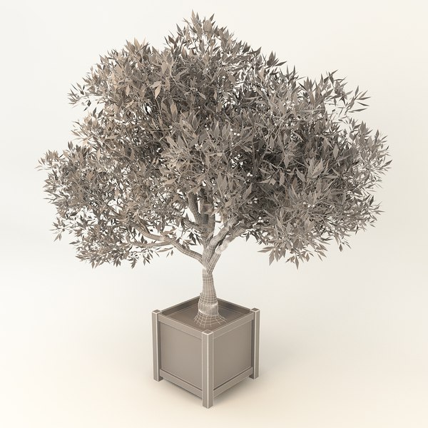 olive tree 3ds