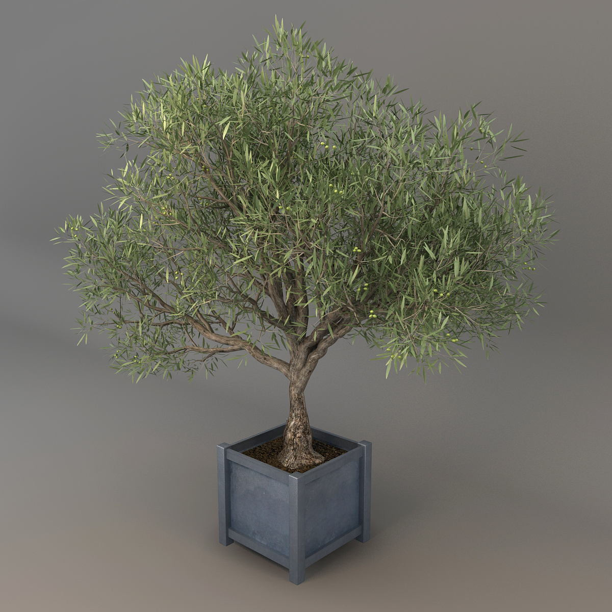 olive tree 3ds