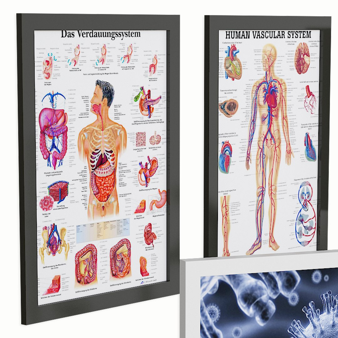3D Model Medical Laboratory Experience Set - TurboSquid 1532019