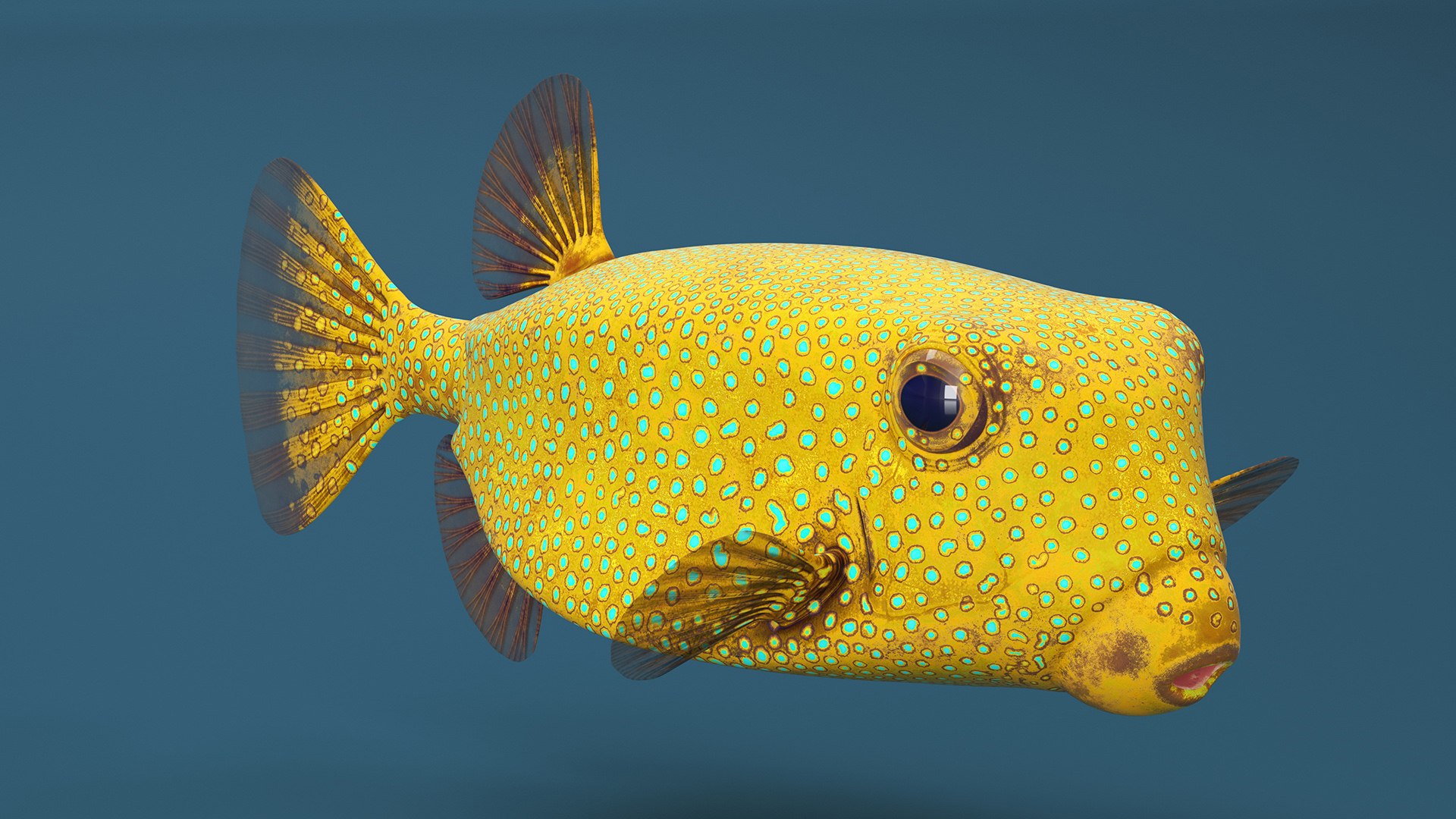 3D Yellow Spotted Boxfish Rigged For Cinema 4D Model - TurboSquid 2355336