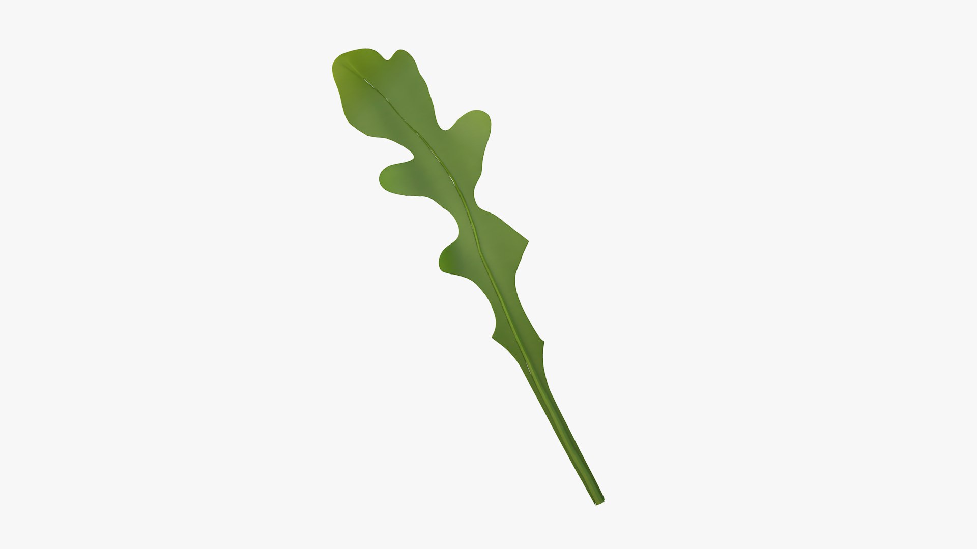 Arugula 3D Model - TurboSquid 1875033