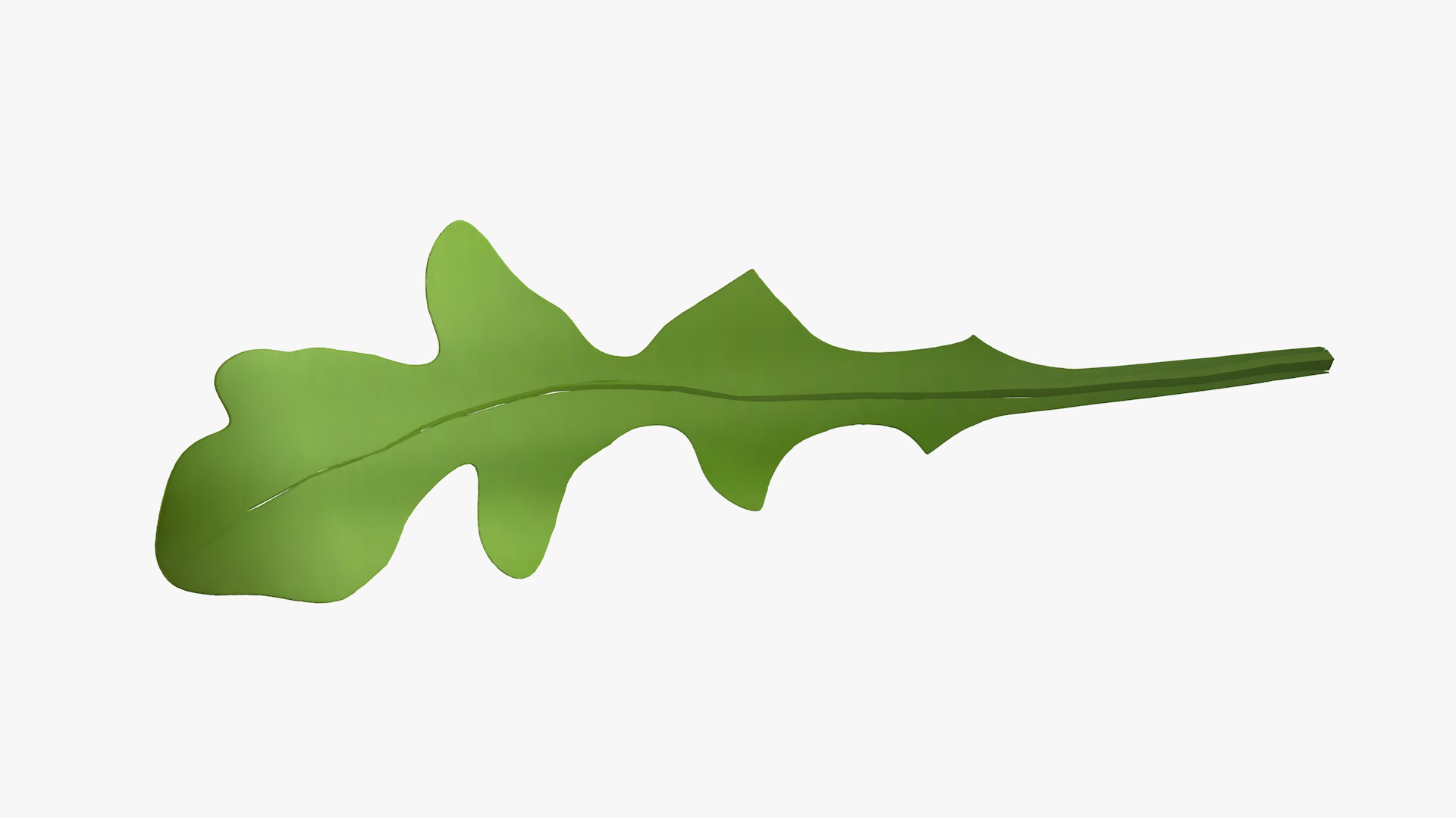 Arugula 3D Model - TurboSquid 1875033
