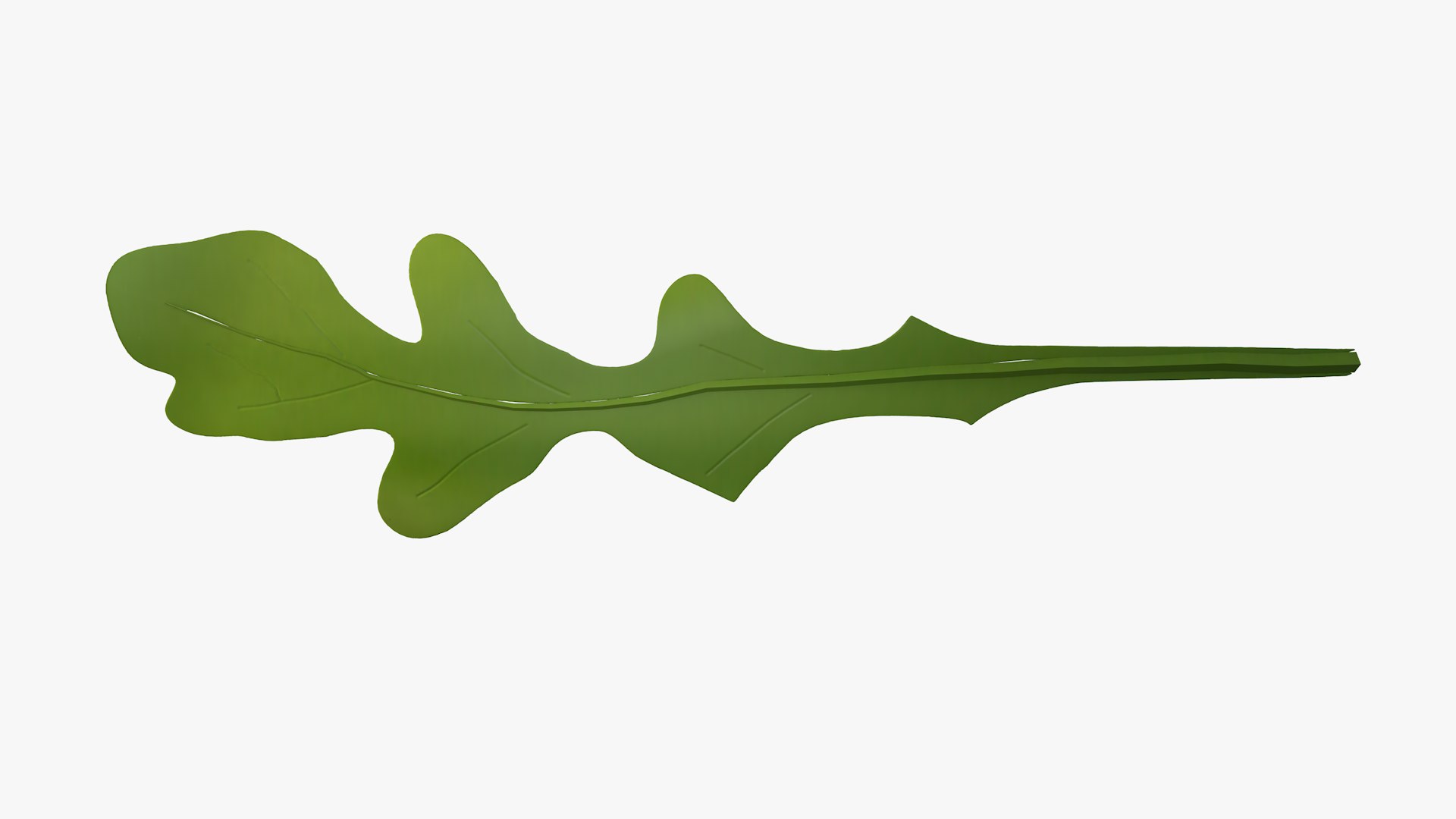 Arugula 3D Model - TurboSquid 1875033