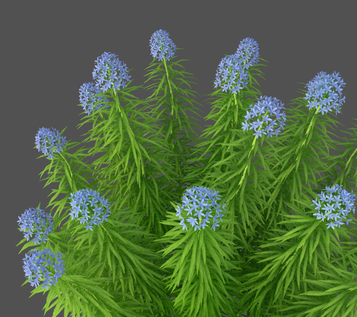 3D XfrogPlants Garden Flowers Pack 1 - TurboSquid 1719406